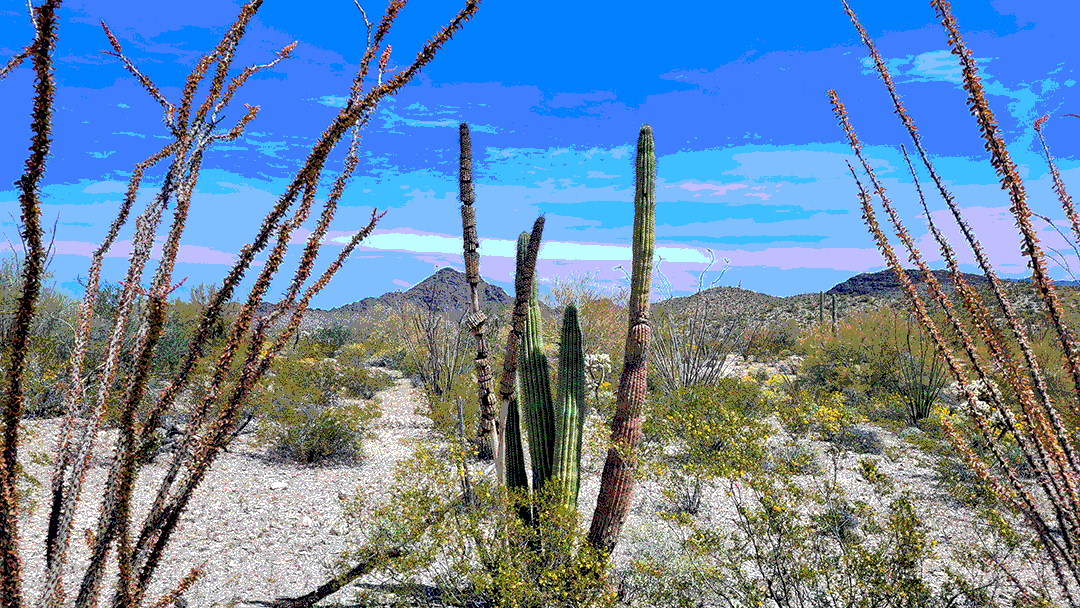 April's Opulent Desert: Breathing Room - Sand and Sky